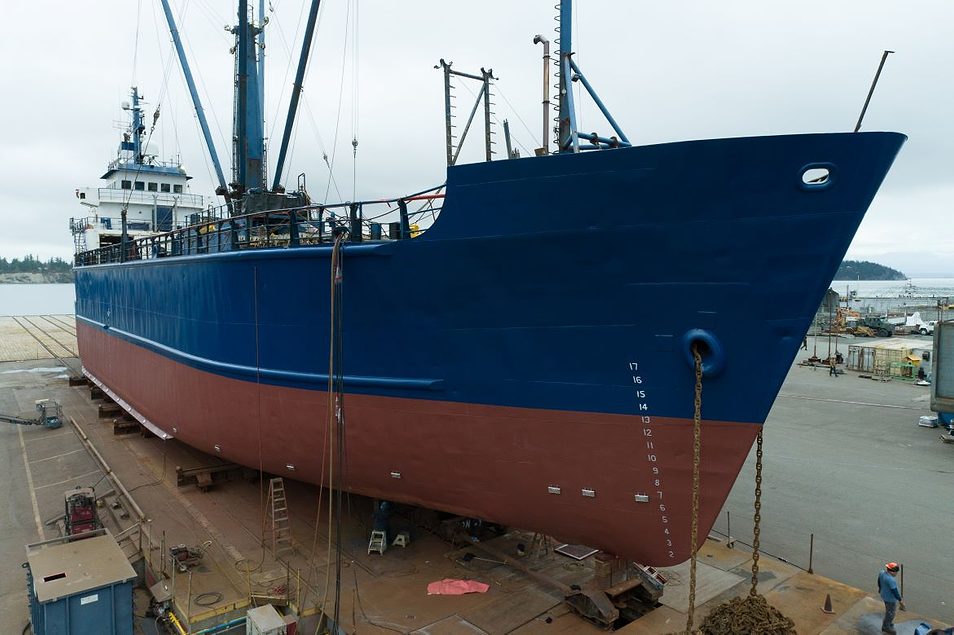 Innovation in Anti-Fouling Coatings for Marine Environments | PCI Magazine