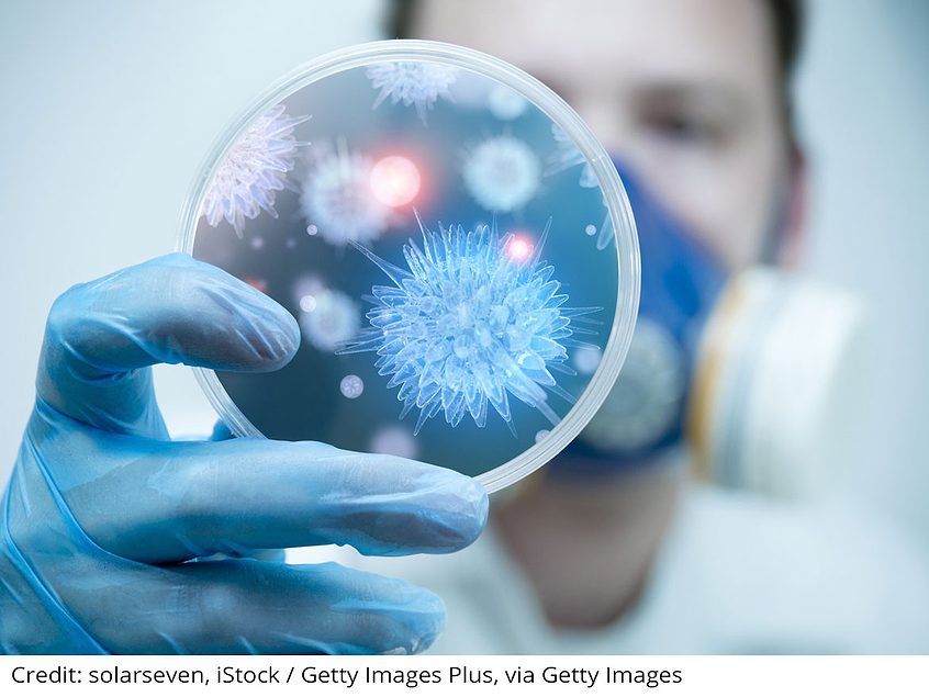 Gelest Upgrades and Expands Organosilane Antimicrobial Manufacturing ...