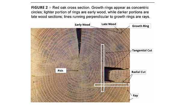 Technology of Wood Finishing | 2013-09-05 | PCI Magazine