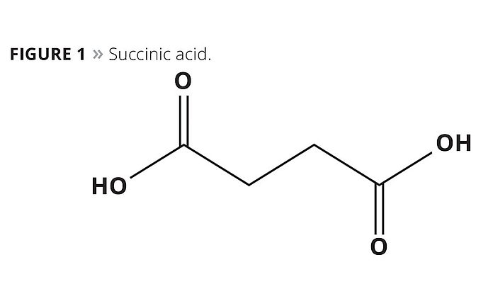 Succinic Acid Structure