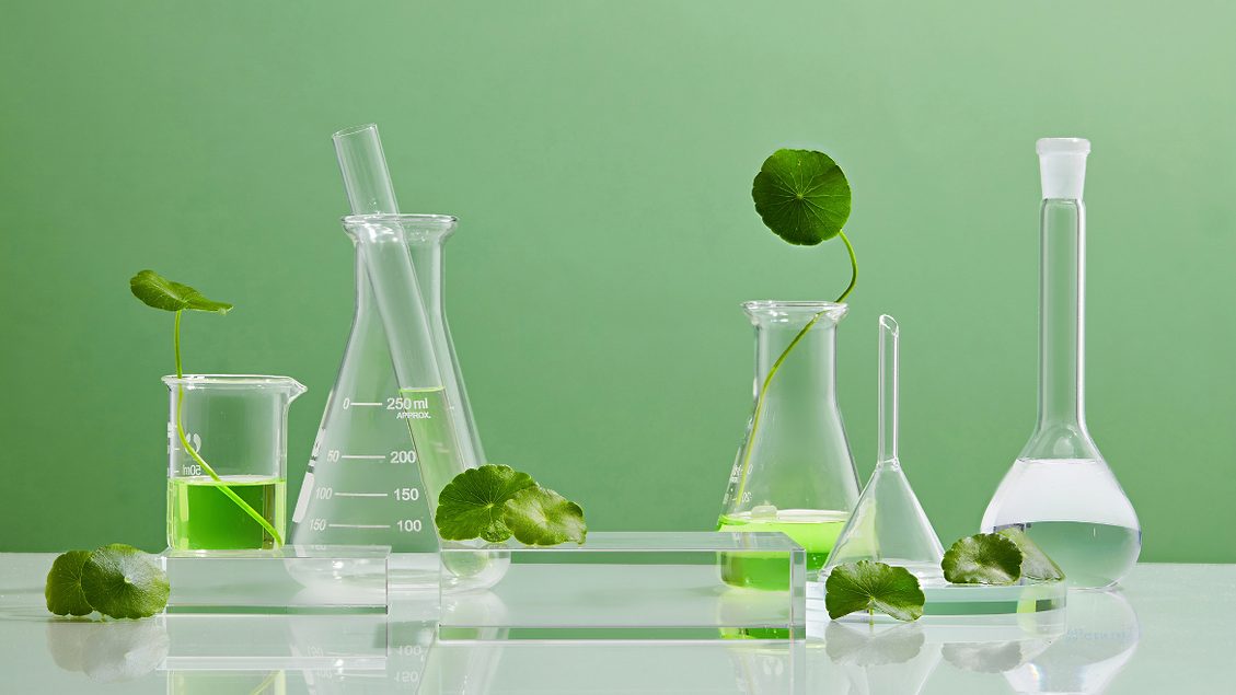 Exploring the Use of Bio-Derived, Isosorbide-Based Polyols in the ...